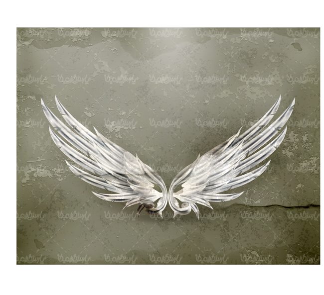 وکتور بال وکتور پر پرنده وکتور بال زدن وکتور بال عقاب - ایران طرح