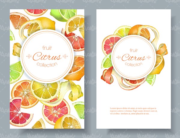 وکتور پترن میوه - ایران طرح